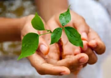 About Isha Foundation | Isha Sadhguru