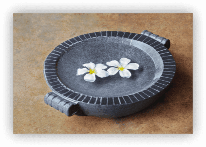 About Isha Foundation | Isha Sadhguru