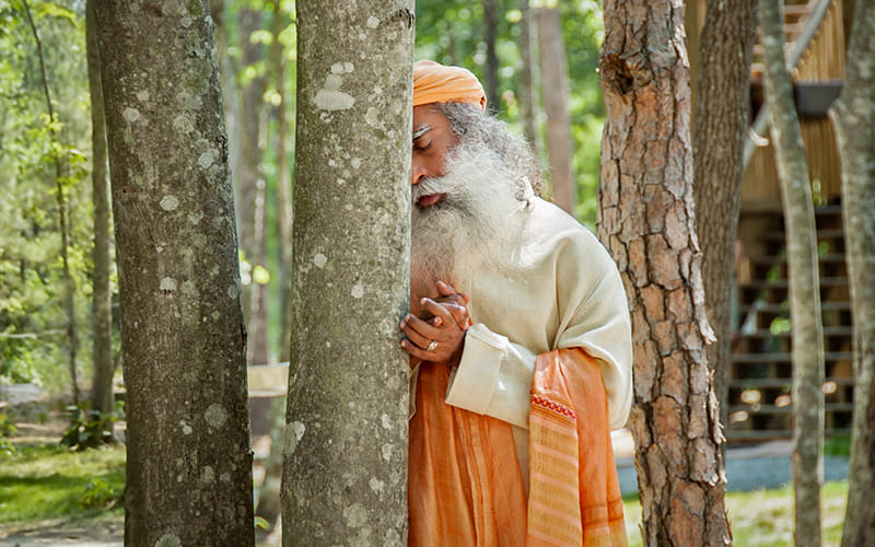 Sadhguru Quotes - When you are free from anger, resentment, and malice ...